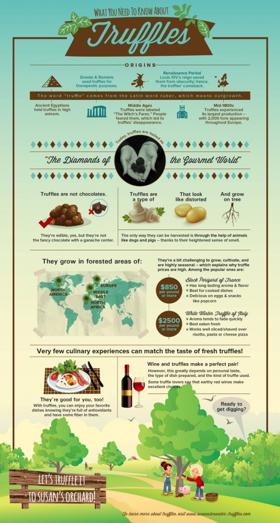 What is a Truffle? An Infographic | Susan Alexander